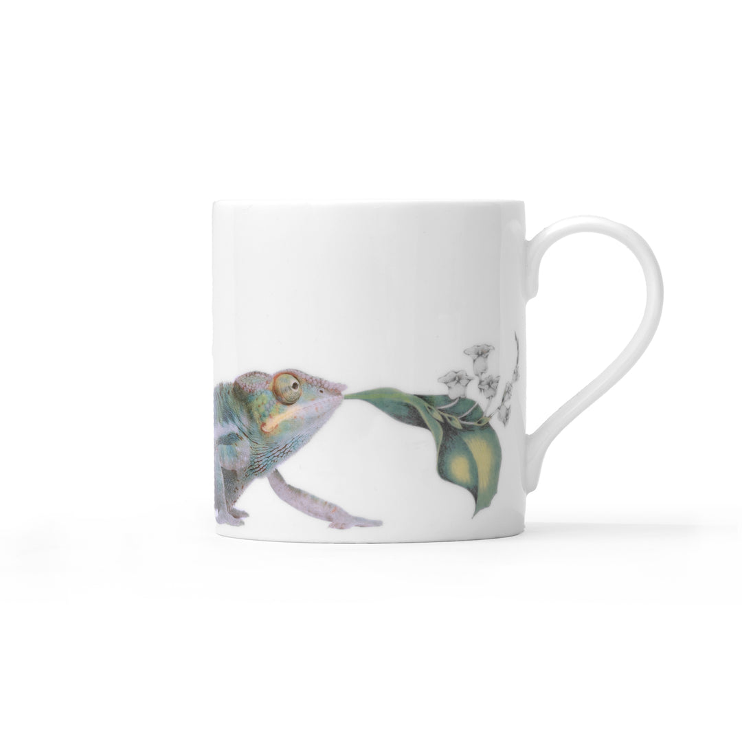 Lou Rota – Duchess China 1888